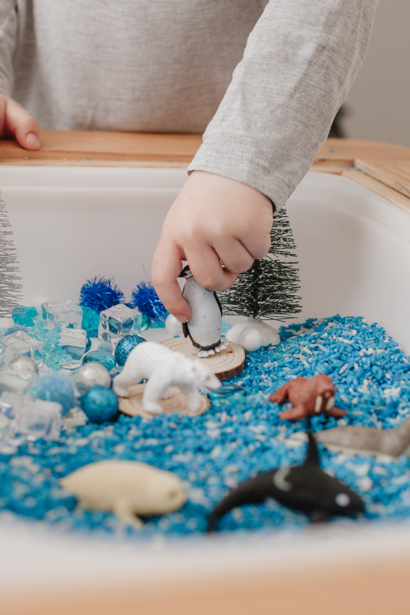 Arctic Sensory Rice Kit – Tiny Tales Boutique